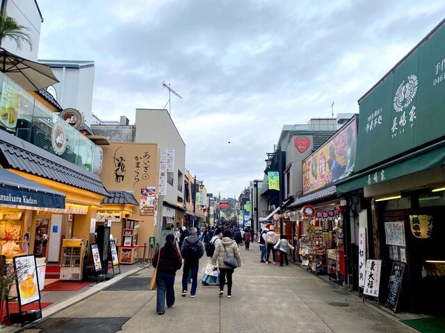 Enoshima Electric Railway (Enoden Line) - Tales from Rails